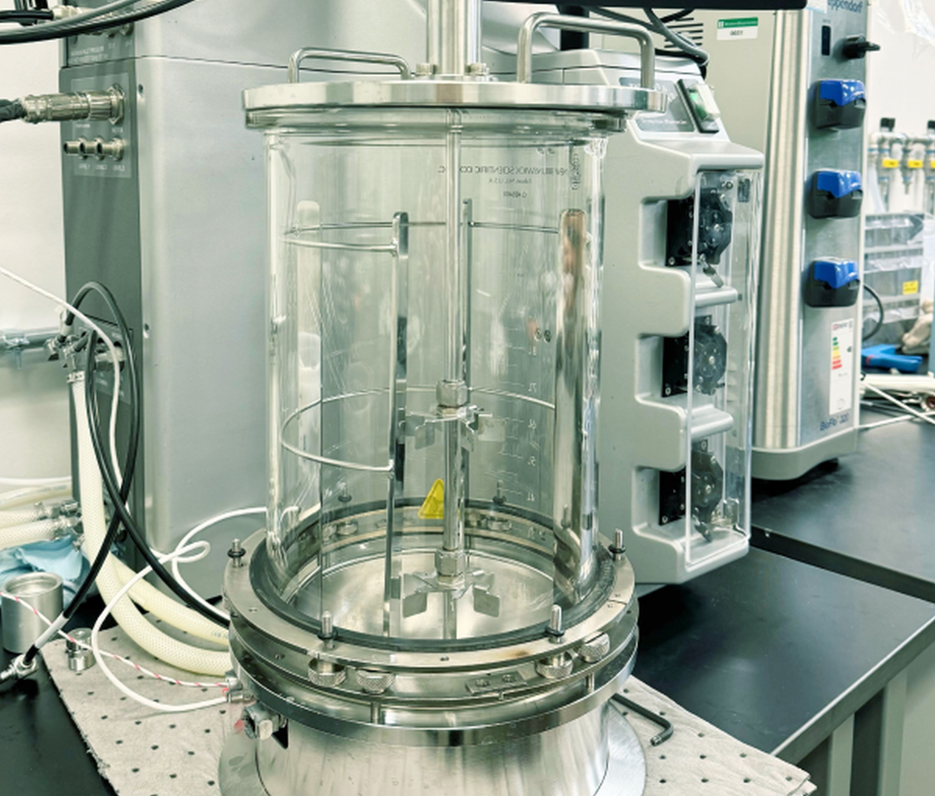 Services | Boston Bioprocess