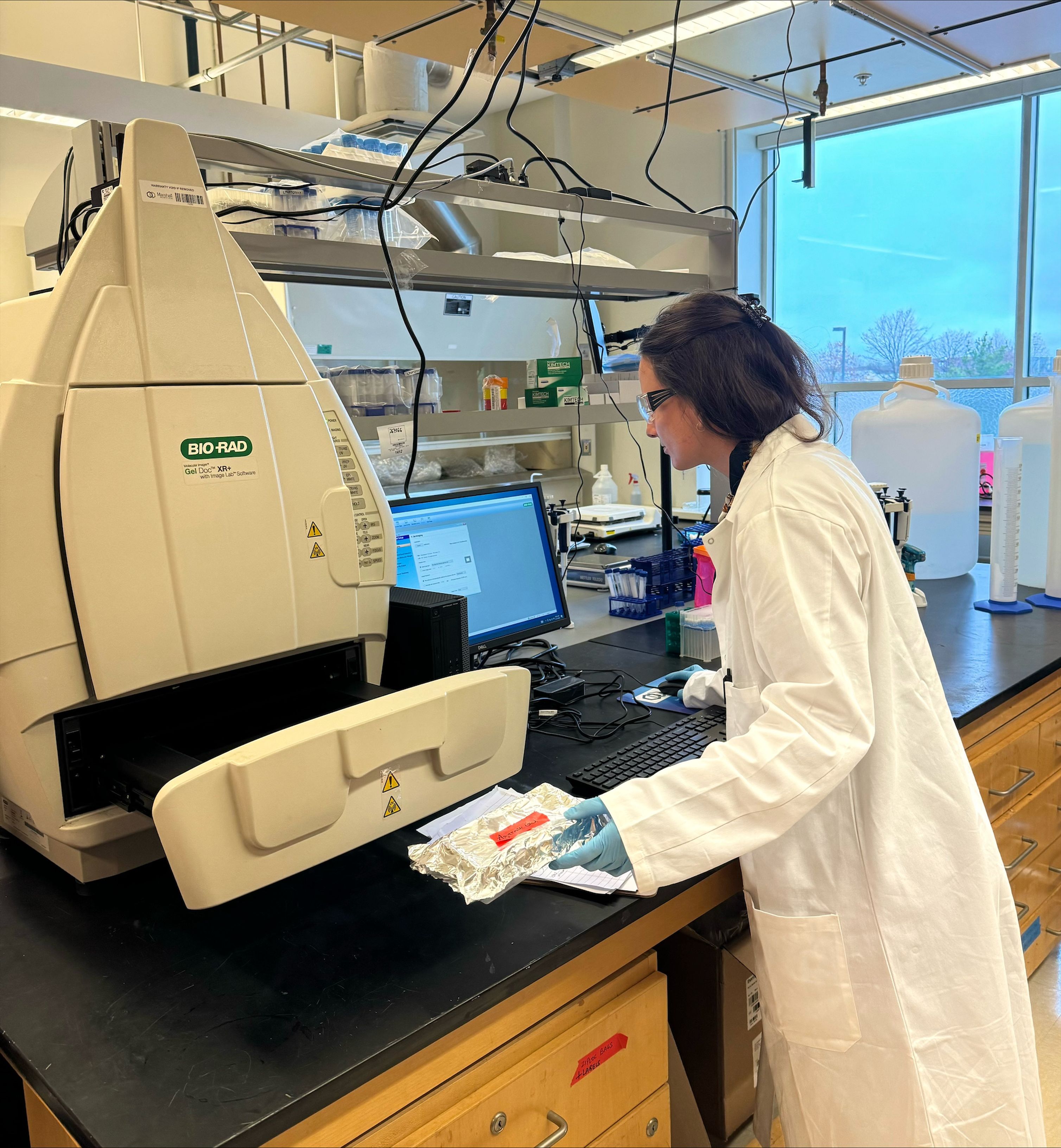 Services | Boston Bioprocess